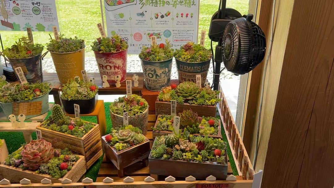 出口博幸さんのインスタグラム - (出口博幸@deguchi_hiroyuki)