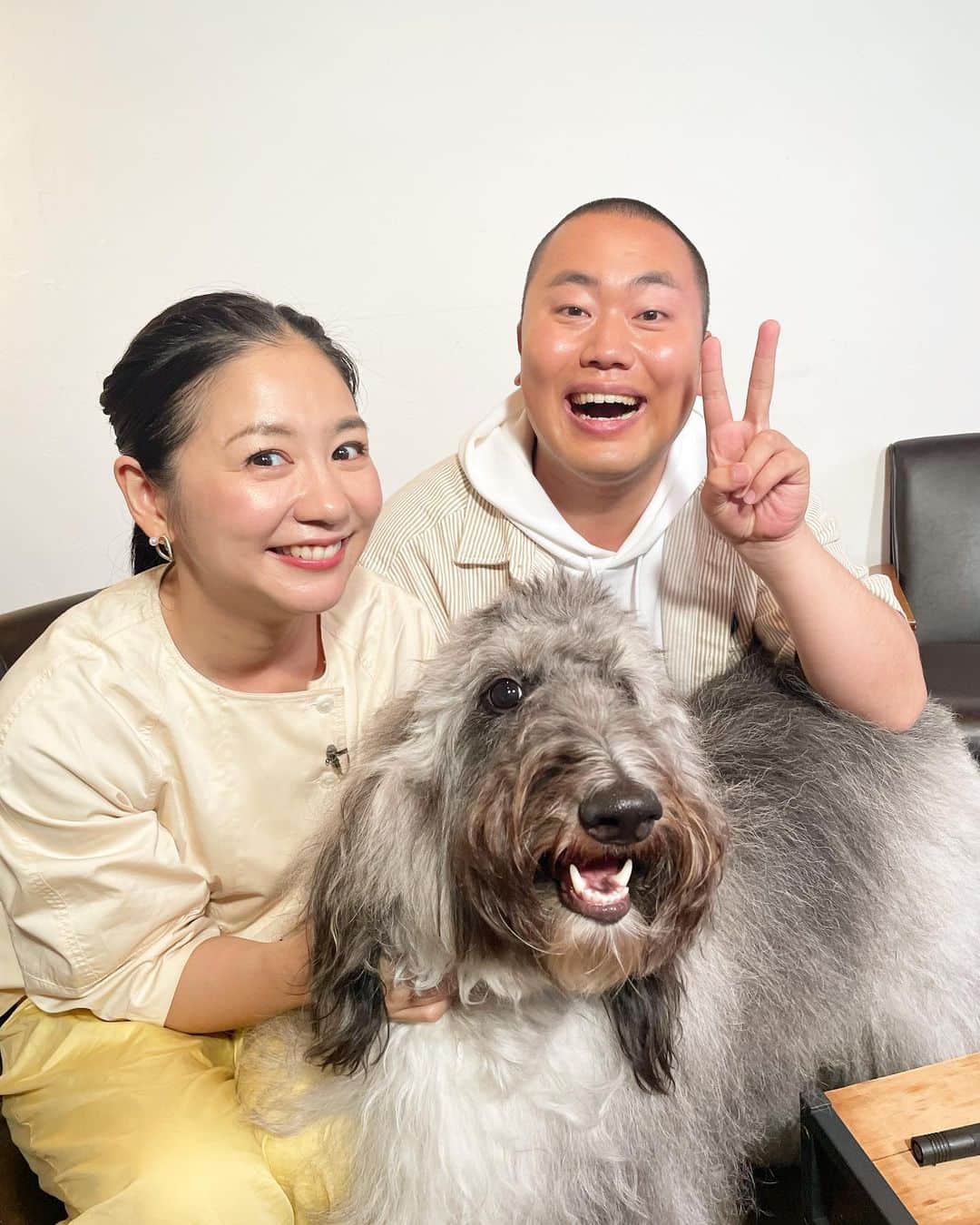 関根麻里さんのインスタグラム写真 - (関根麻里Instagram)「@okb_dai 岡部さんと一緒に、ワンちゃんと戯れながら撮影ができて ...
