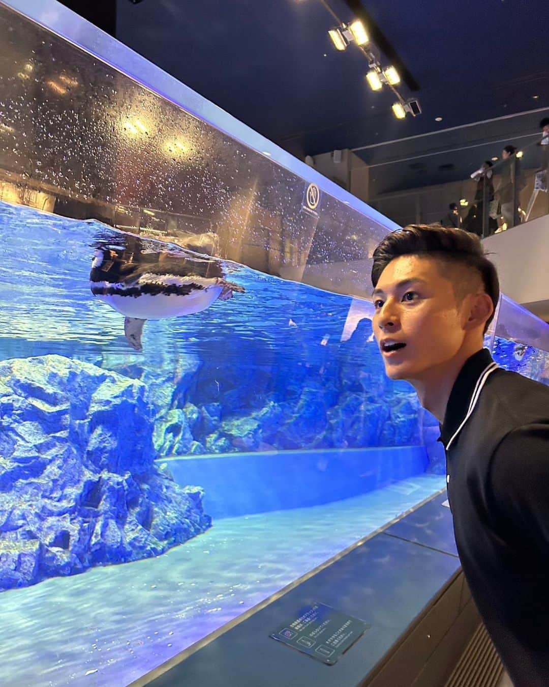 TBS「Nスタ」さんのインスタグラム写真 - (TBS「Nスタ」Instagram)「今日のすたすた中継は… 【ペンギンの赤ちゃん】を東京スカイツリータウンにある 「すみだ水族館」からお伝えし ...