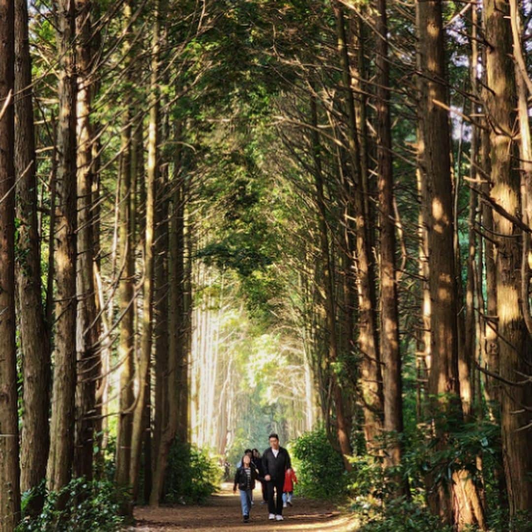 スマホの写真が売れちゃうアプリ「スナップマート」さんのインスタグラム写真 - (スマホの写真が売れちゃうアプリ「スナップマート ...