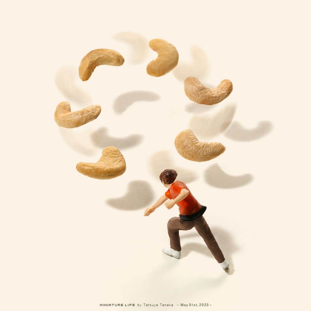 田中達也さんのインスタグラム写真 - (田中達也Instagram)「“Nuts Boomerang” ⠀ ナッツリターン ...