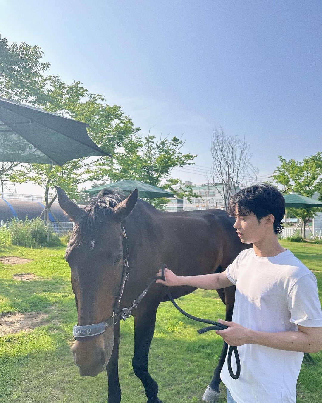 コ・ホジョンさんのインスタグラム写真 - (コ・ホジョンInstagram)「보니 고생했어☺️ #세인트이콰인승마클럽」5月31日 17時 ...