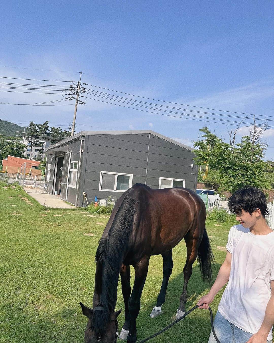 コ・ホジョンさんのインスタグラム写真 - (コ・ホジョンInstagram)「보니 고생했어☺️ #세인트이콰인승마클럽」5月31日 17時 ...