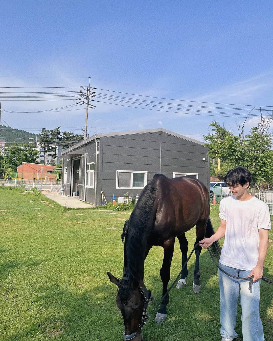 コ・ホジョンさんのインスタグラム写真 - (コ・ホジョンInstagram)「보니 고생했어☺️ #세인트이콰인승마클럽」5月31日 17時 ...