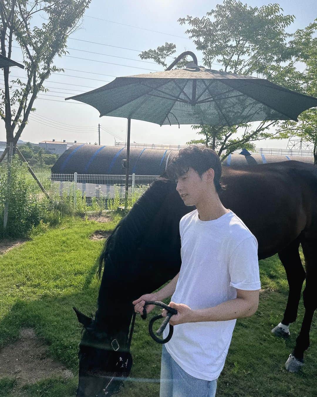 コ・ホジョンさんのインスタグラム写真 - (コ・ホジョンInstagram)「보니 고생했어☺️ #세인트이콰인승마클럽」5月31日 17時 ...