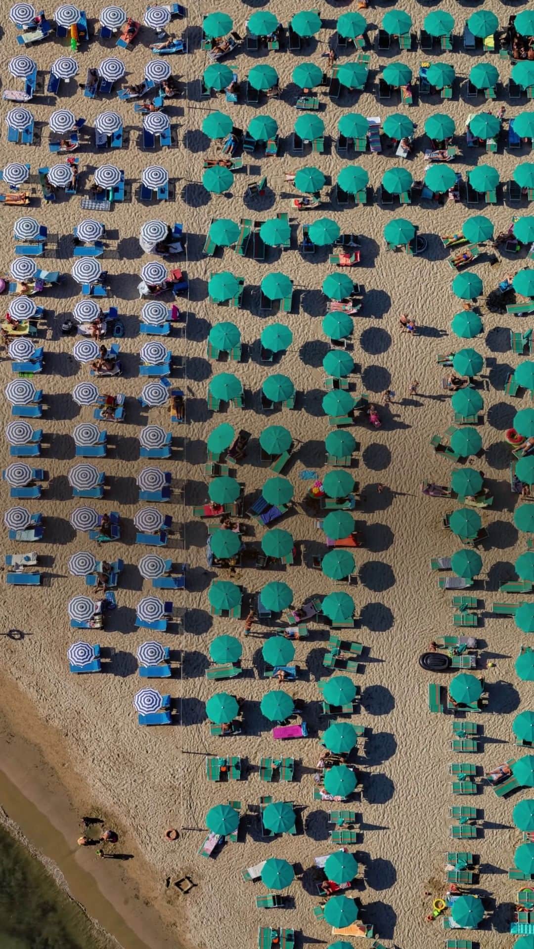 ライカさんのインスタグラム動画 - (ライカInstagram)「Hidden Patterns ''It’s captivating ...