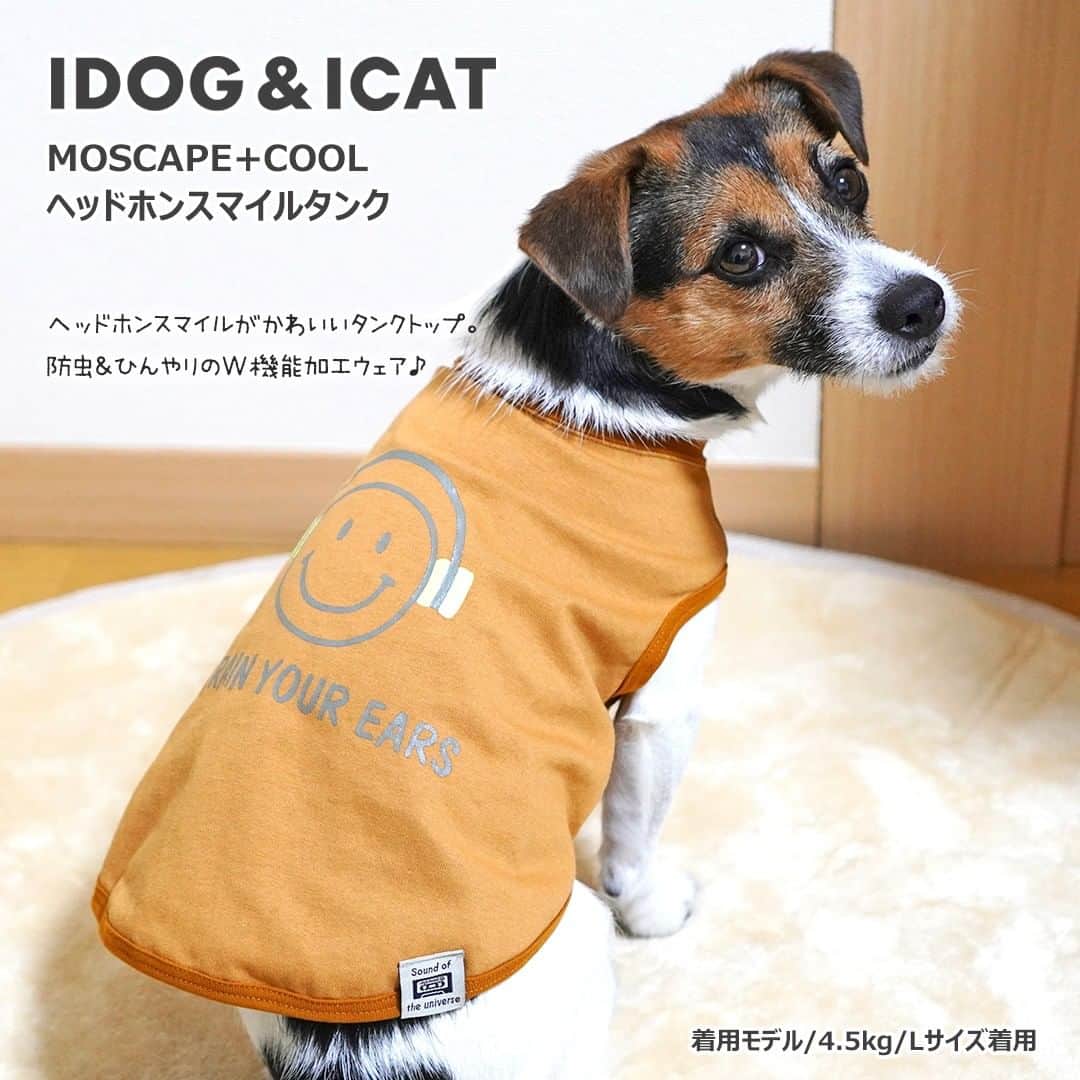 iDog&iCatさんのインスタグラム写真 - (iDog&iCatInstagram)「1枚1100円～型落ちロスレスウェア販売開始！ #idogロスレスウェア iDogのアウトレットがロス ...