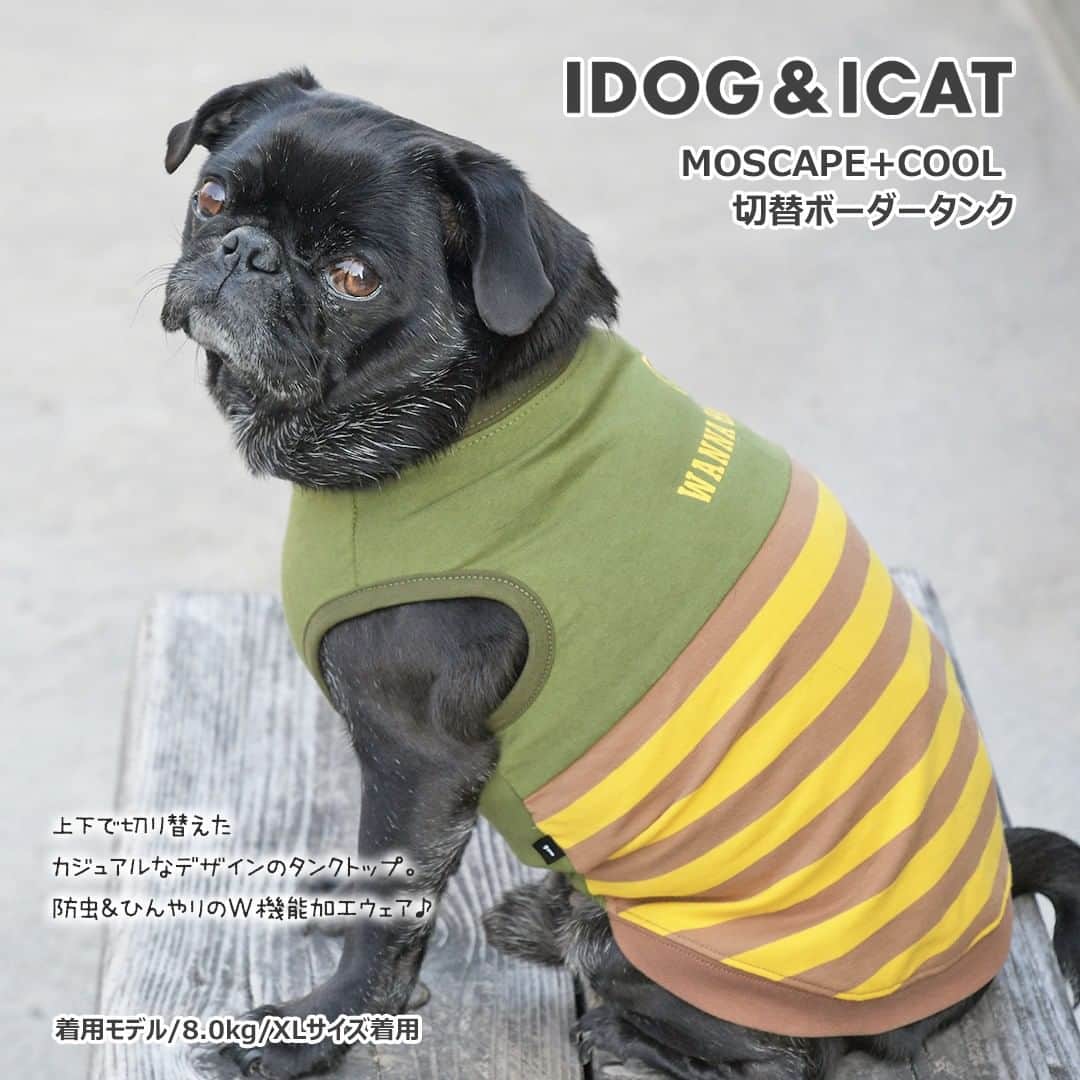 iDog&iCatさんのインスタグラム写真 - (iDog&iCatInstagram)「1枚1100円～型落ちロスレスウェア販売開始！ #idogロスレスウェア iDogのアウトレットがロス ...