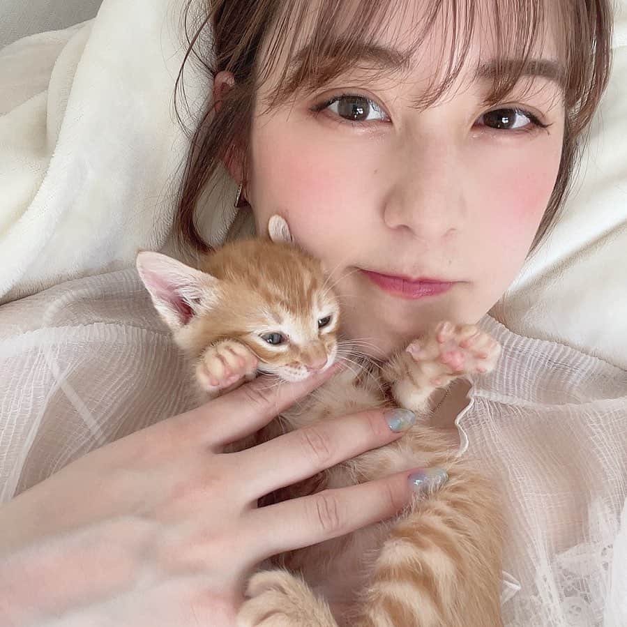 布施柚乃さんのインスタグラム - (布施柚乃@yuno.fuse)