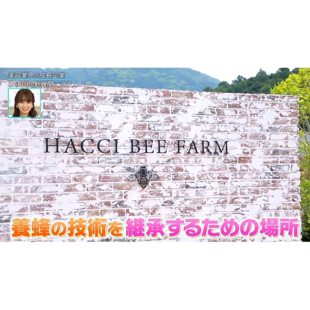 HACCI officialさんのインスタグラム写真 - (HACCI officialInstagram)「TBS『ふるさとの未来』ご覧くださった皆様ありがとうございます🐝HACCIの想いを ...