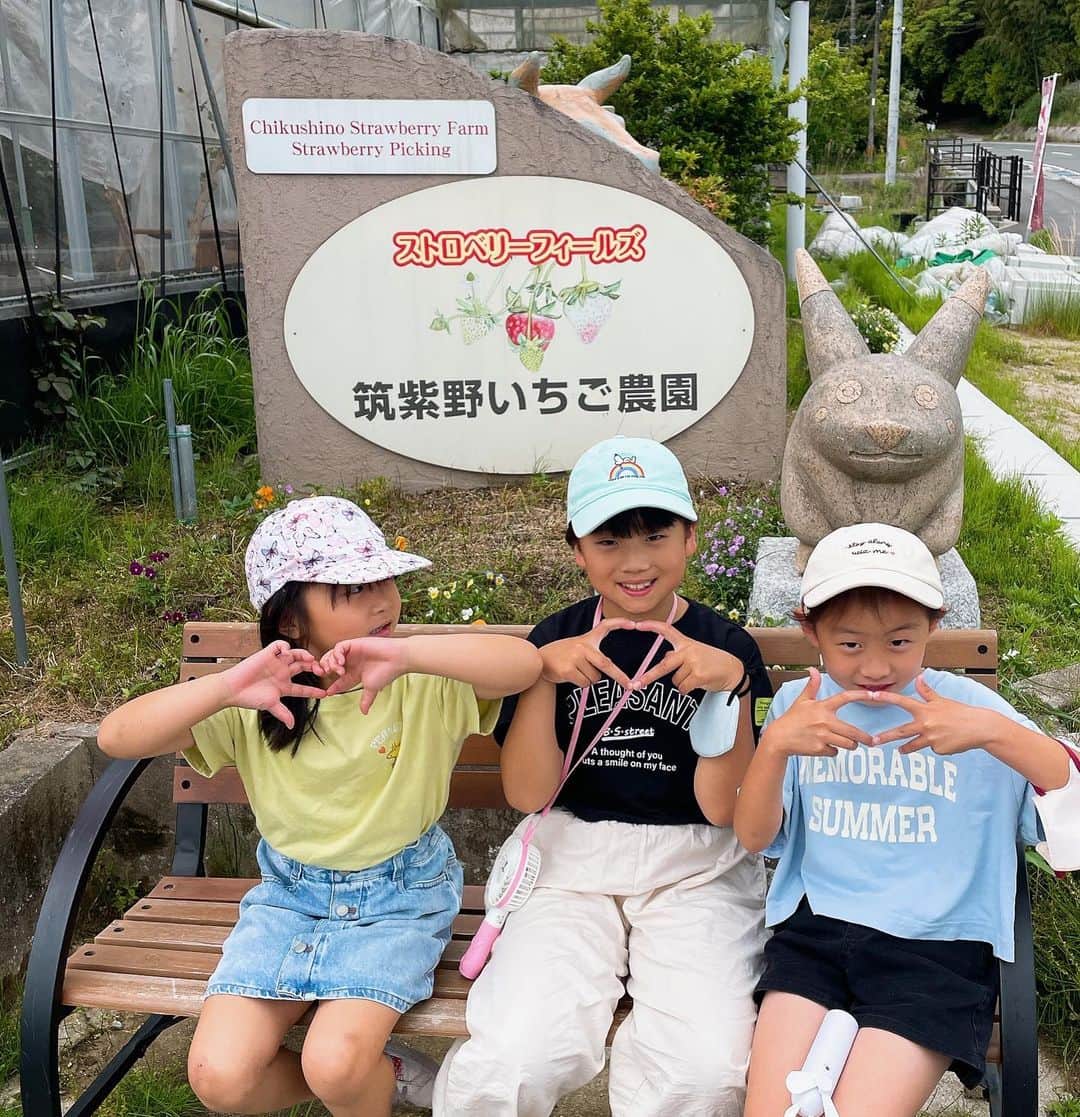 秋本ゆかりさんのインスタグラム写真 - (秋本ゆかりInstagram)「GWの思い出④ 子どもたちが大好きないちご狩りへ🍓 いっぱい食べ ...