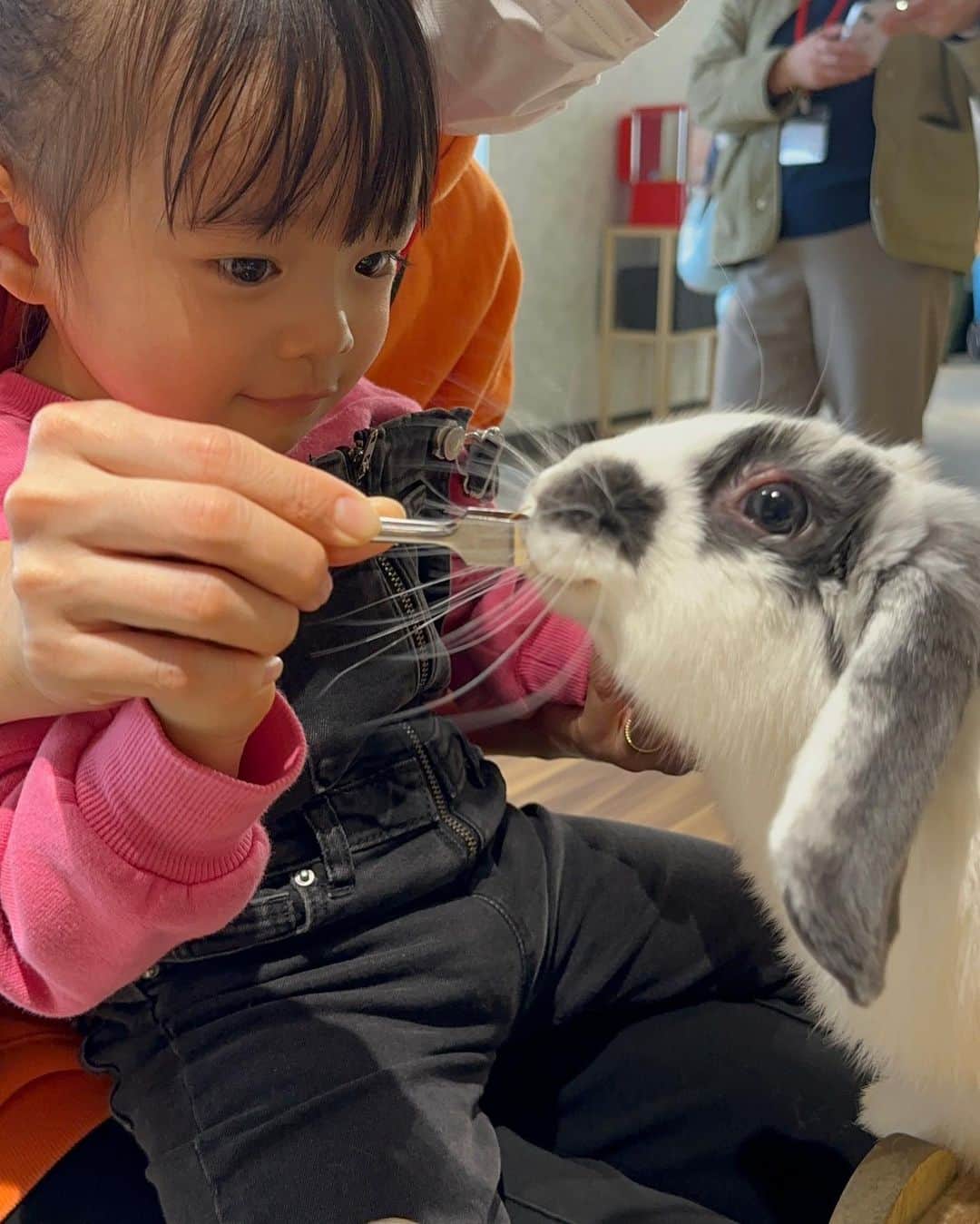 漆川由佳さんのインスタグラム写真 - (漆川由佳Instagram)「初めてのAnimel🐈🐈‍⬛🐕🐩🐇💕」5月18日 0時00分 ...