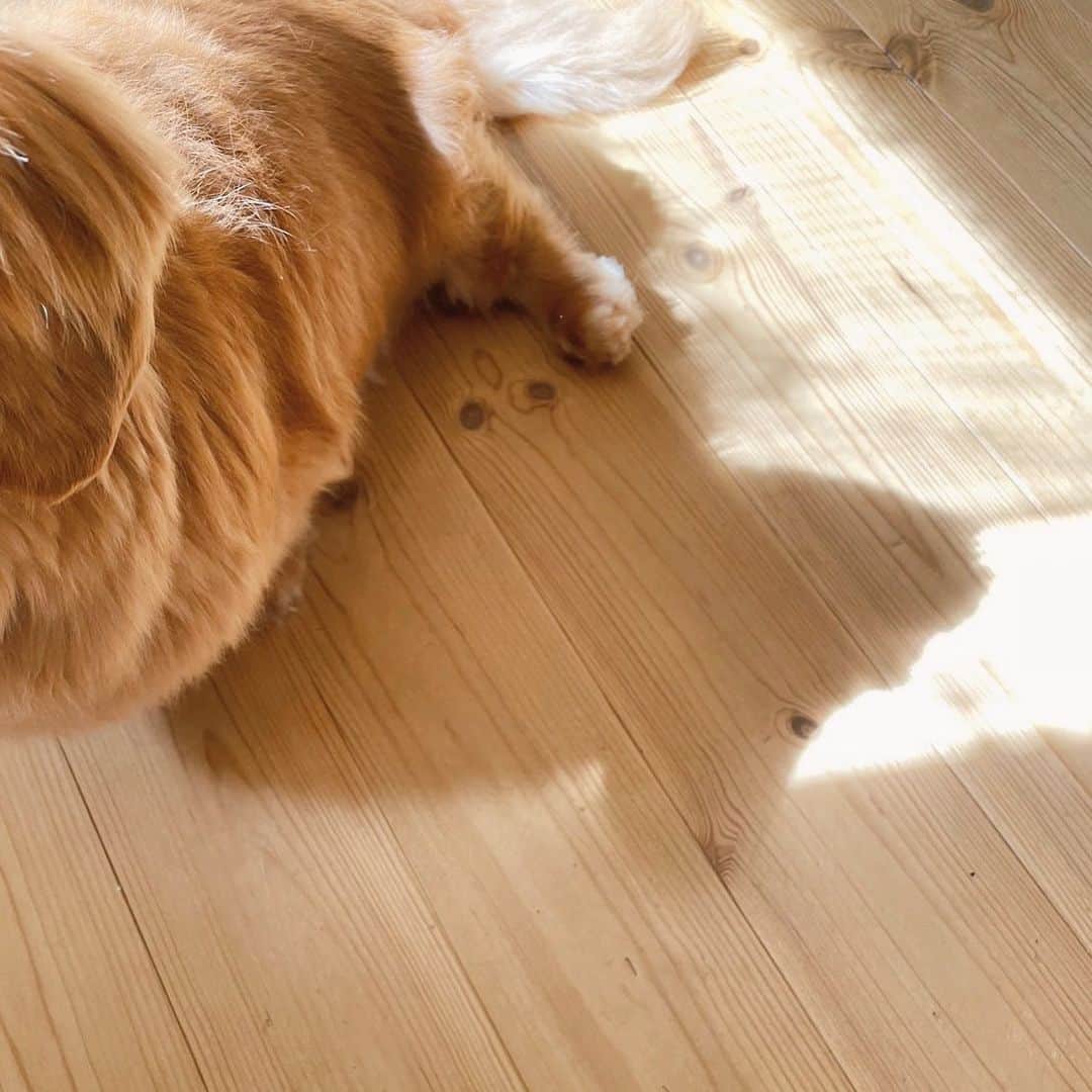 荒谷江莉香さんのインスタグラム - (荒谷江莉香@erika.araya.s2)