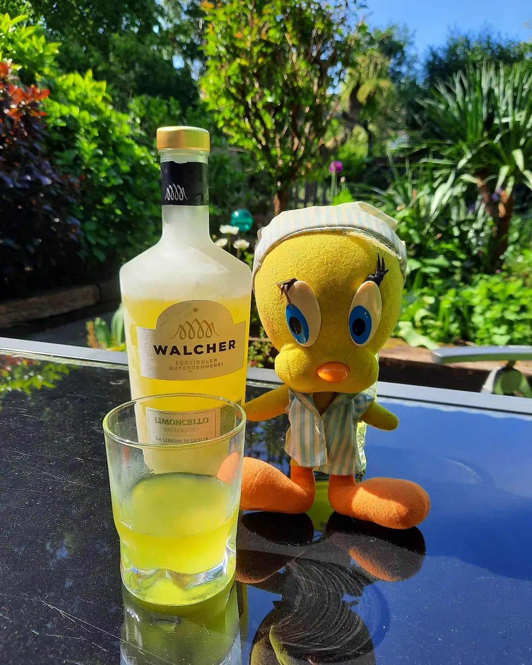 Little Yellow Birdさんのインスタグラム - (Little Yellow Bird@tweetykweelapis)