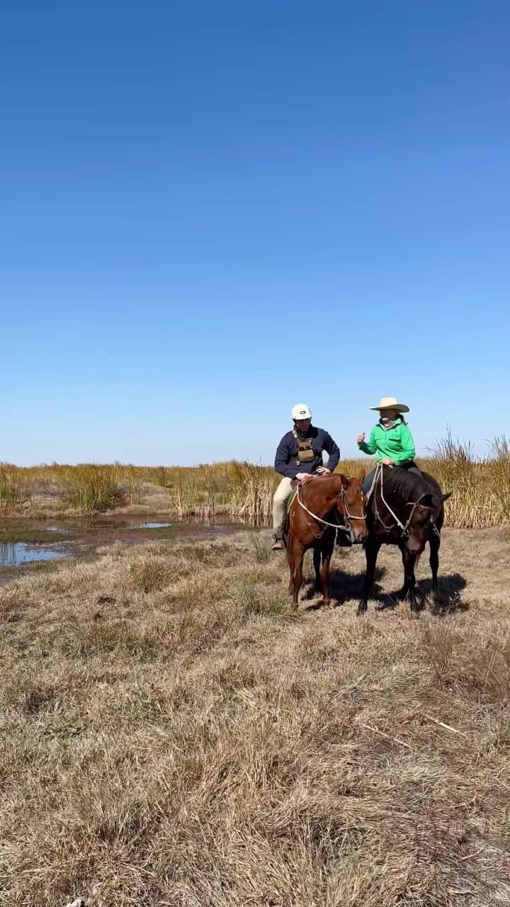 デビッド・ポーコックさんのインスタグラム動画 - (デビッド・ポーコックInstagram)「Learning firsthand about ...