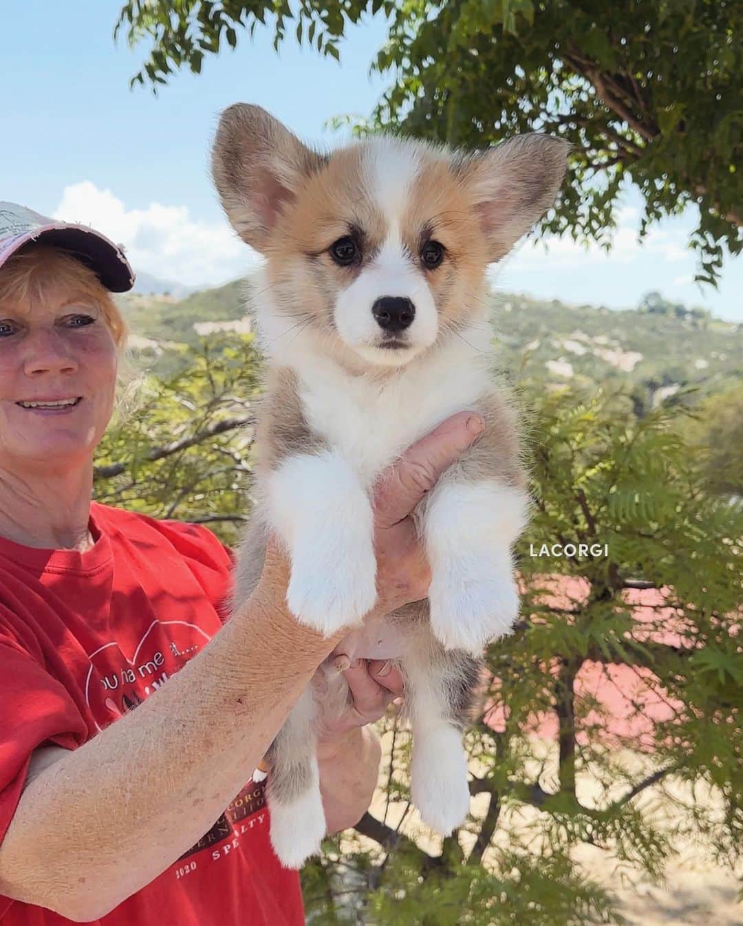Geordi La Corgiさんのインスタグラム写真 - (Geordi La CorgiInstagram)「Yesterday I ...