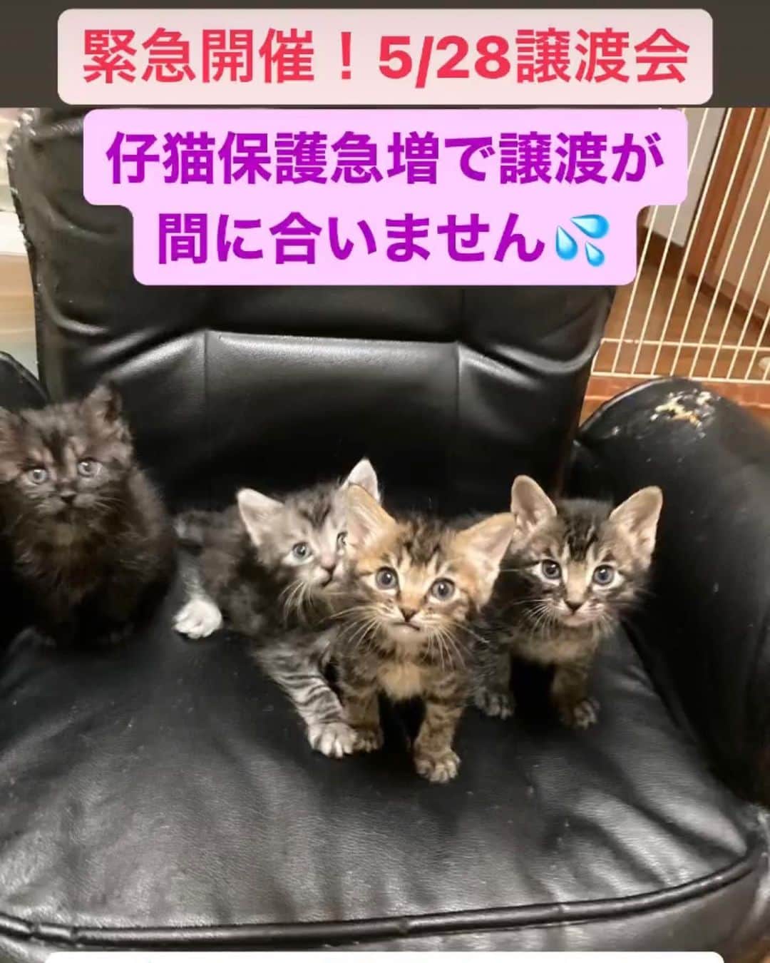 halmeさんのインスタグラム写真 - (halmeInstagram)「やればできる！6:45シュッパツ！ 富士山 今朝は雪化粧がちょっと ...