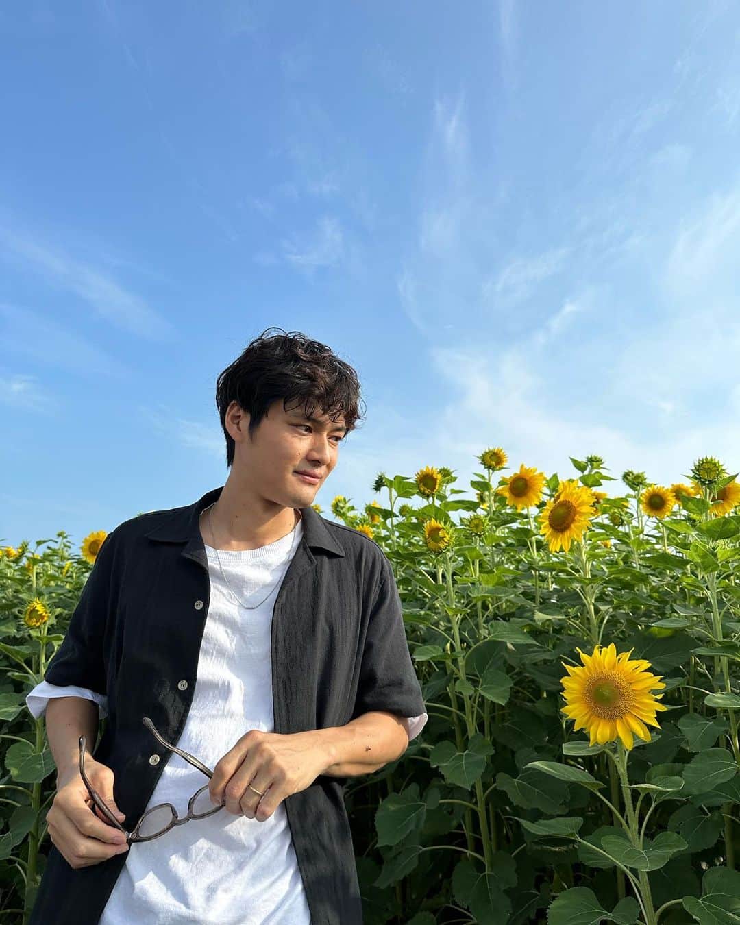 寺島速人さんのインスタグラム写真 - (寺島速人Instagram)「石垣島はヒマワリの季節🌻 来週の台風で飛ばされないといいけど…」5月25 ...