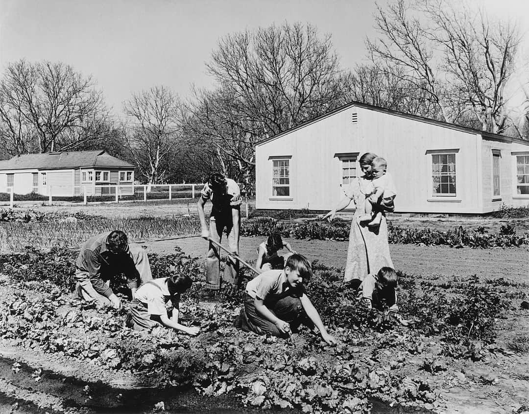 ロサンゼルスカウンティ美術館さんのインスタグラム写真 - (ロサンゼルスカウンティ美術館Instagram)「Dorothea Lange ...