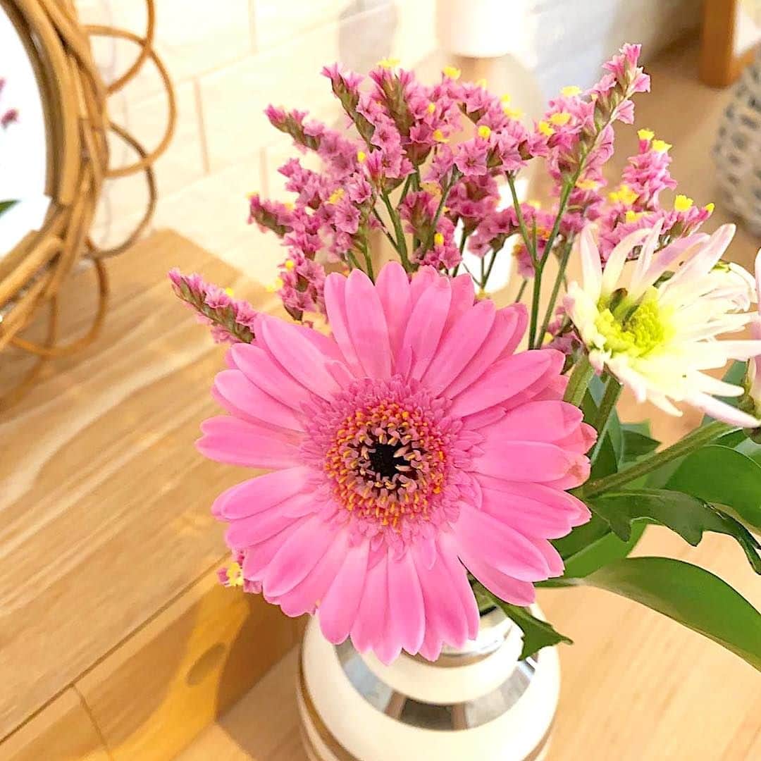 Bloomee LIFEさんのインスタグラム写真 - (Bloomee LIFEInstagram)「見る人の心を 明るくしてくれるガーベラ🌸 元気いっぱいに咲いたお花を飾るだけで 明るく ...