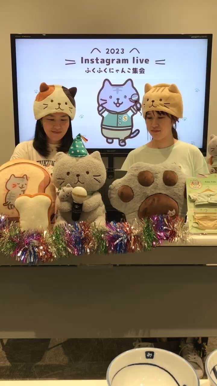 HAPiNSさんのインスタグラム動画 - (HAPiNSInstagram)「第34回 オンライン ＃ふくふくにゃんこ集会」6月23日 20時59分 - hapins_official