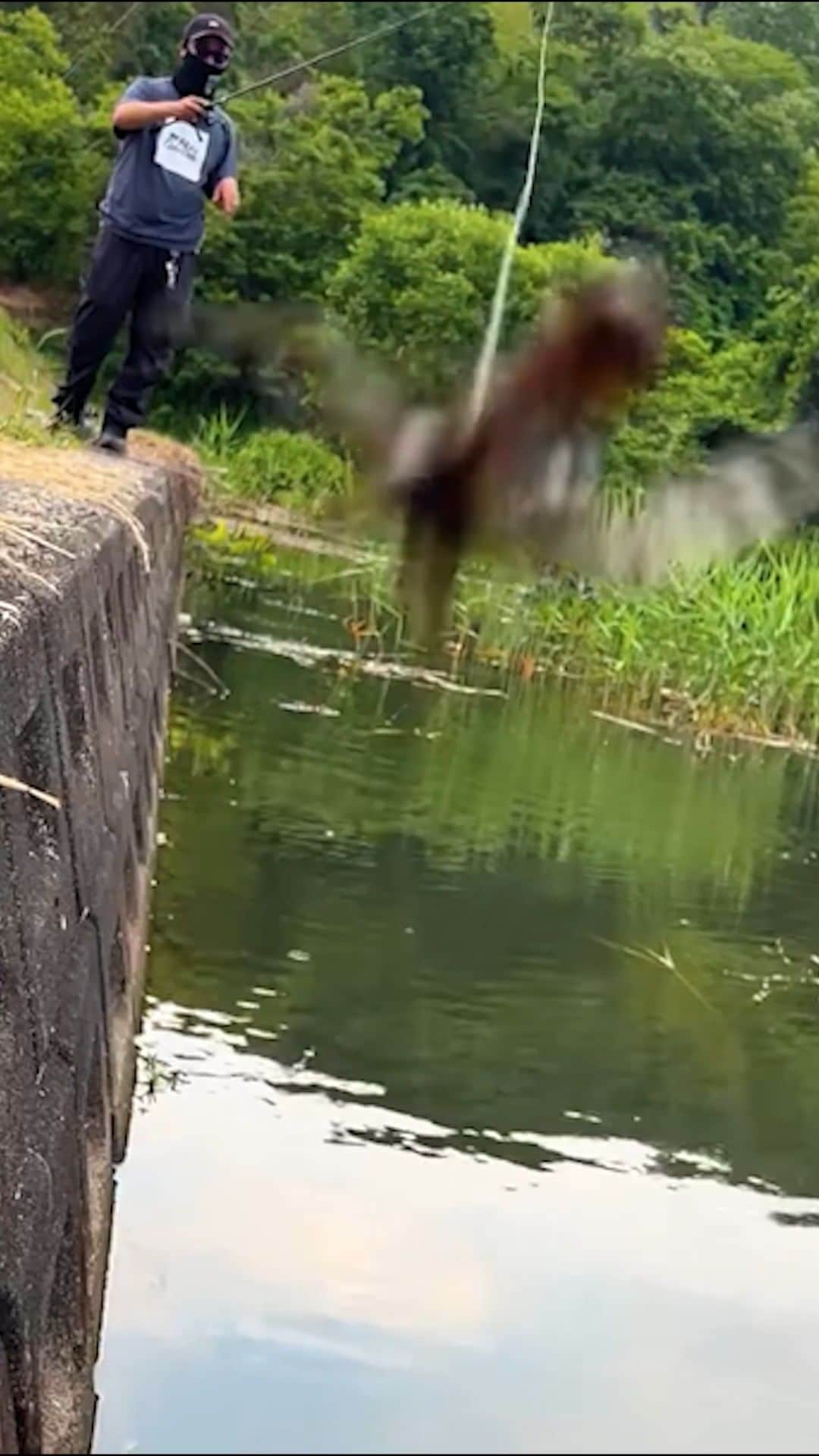 LureNews.TVさんのインスタグラム動画 - (LureNews.TVInstagram)「三浦一真さんにかっこいいピッチングシーンを撮りましょう！っていう経緯で撮影したこちら。そして ...