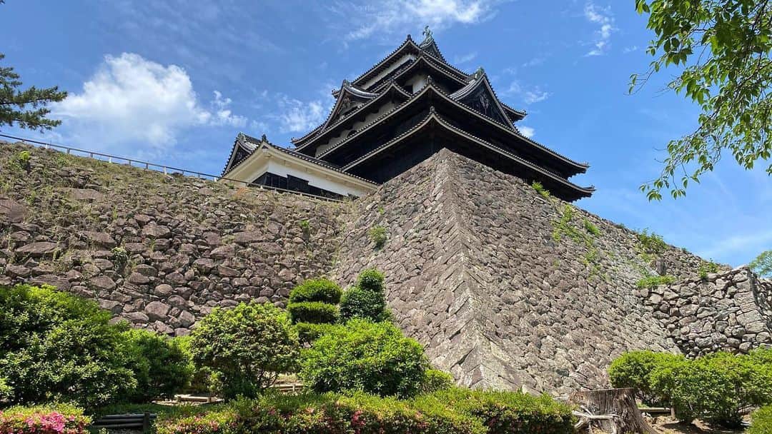 長谷川ヨシテルさんのインスタグラム写真 - (長谷川ヨシテルInstagram)「天守の東側の木々がカットされて、天守と石垣と帯曲輪が見やすく ...