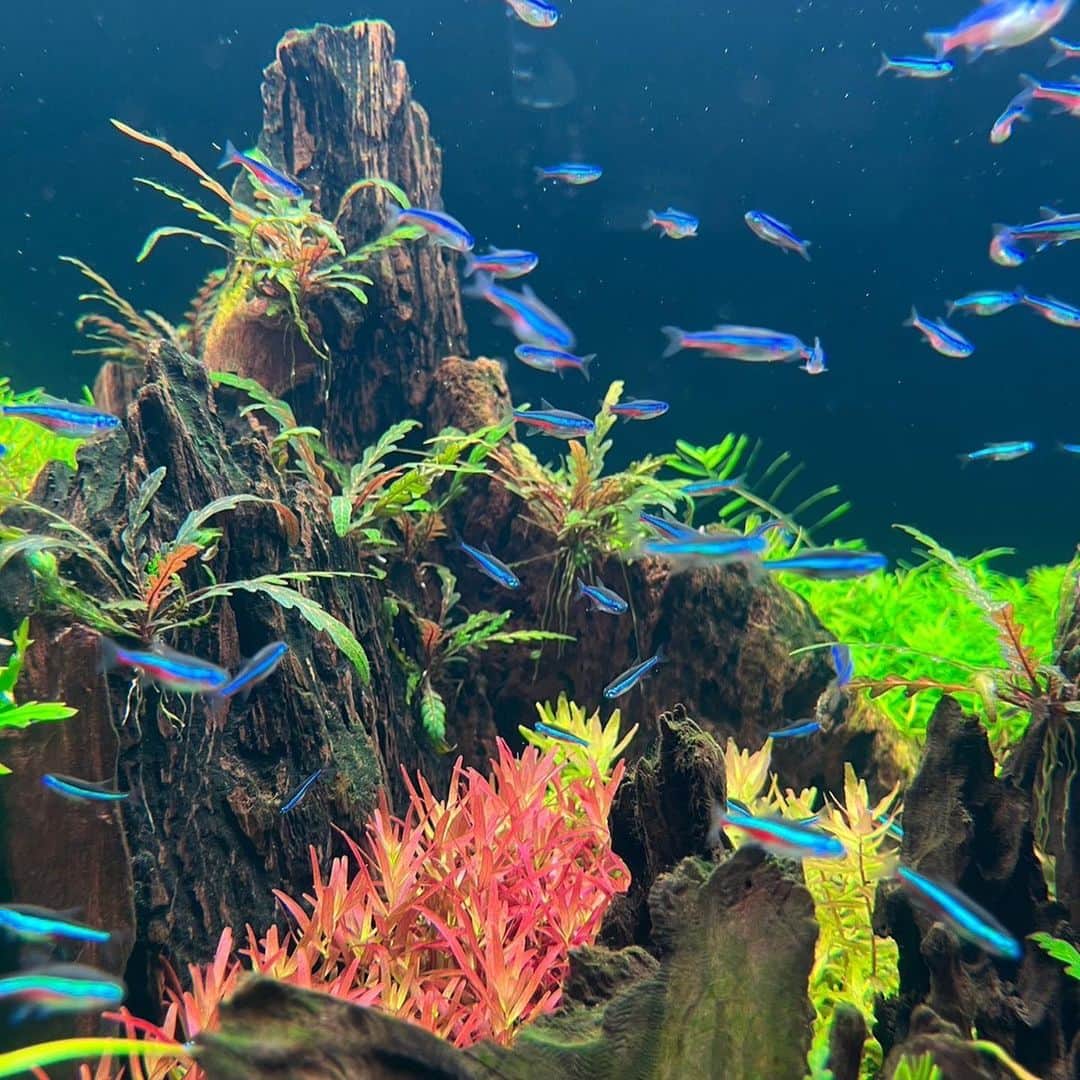 【公式】東京コミュニケーションアート専門学校ECOさんのインスタグラム写真 - (【公式】東京コミュニケーションアート専門学校ECOInstagram)「いよいよ来週末👏 6月10日・11日に ...