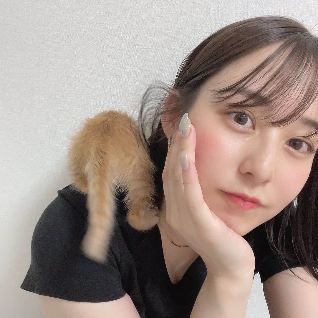 布施柚乃さんのインスタグラム - (布施柚乃@yuno.fuse)