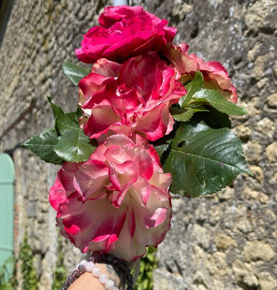 ルー・ドワイヨンさんのインスタグラム写真 - (ルー・ドワイヨンInstagram)「Fête des mères 🌹 “Love set ...