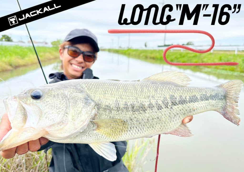 LureNews.TVさんのインスタグラム写真 - (LureNews.TVInstagram)「【キーは超シャローカバー】九州でもロングエムが絶好調！加木屋守（マーモ）の遠征釣行レポート ...