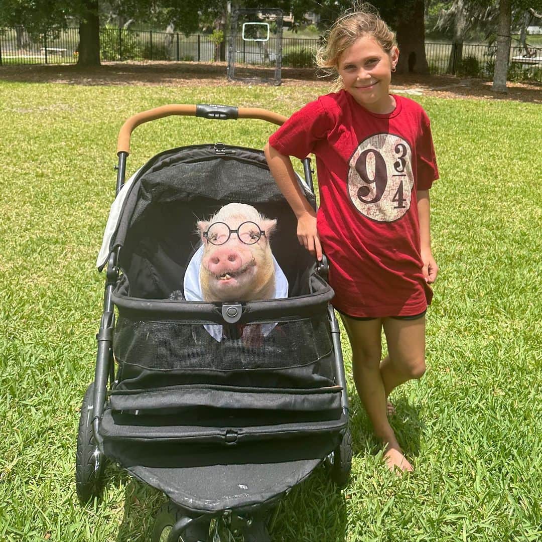 Priscilla and Poppletonさんのインスタグラム写真 - (Priscilla and PoppletonInstagram ...