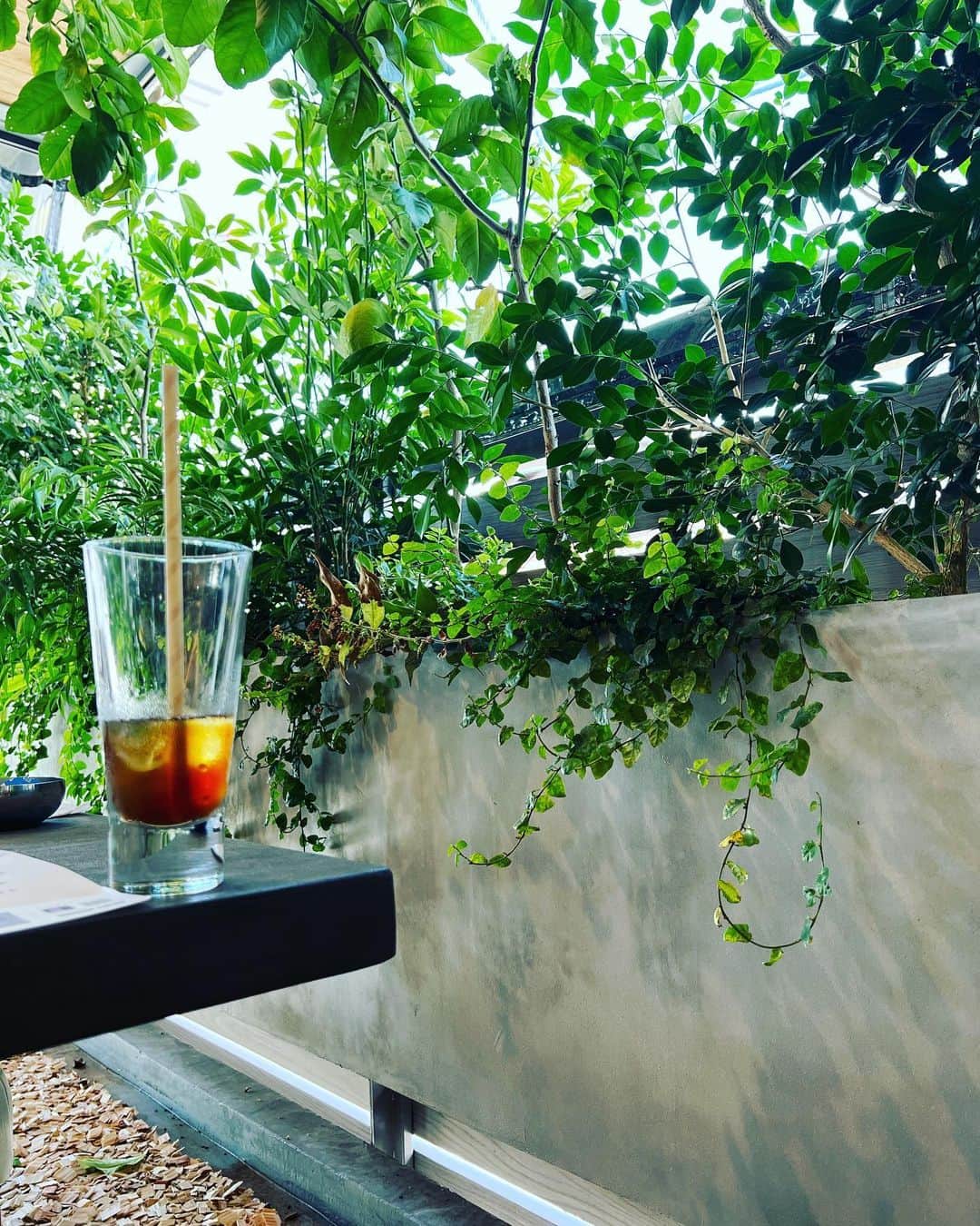 月船さららさんのインスタグラム写真 - (月船さららInstagram)「☕️ ️🍋 @bafunyasai_tcc_cafe」6月5日 14 ...