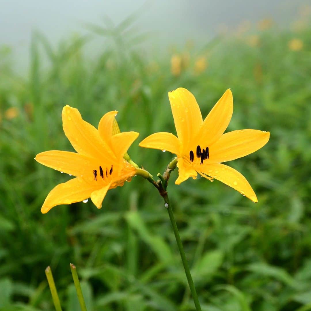 TOBU RAILWAY（東武鉄道）さんのインスタグラム写真 - (TOBU RAILWAY（東武鉄道）Instagram)「. . 📍 ...