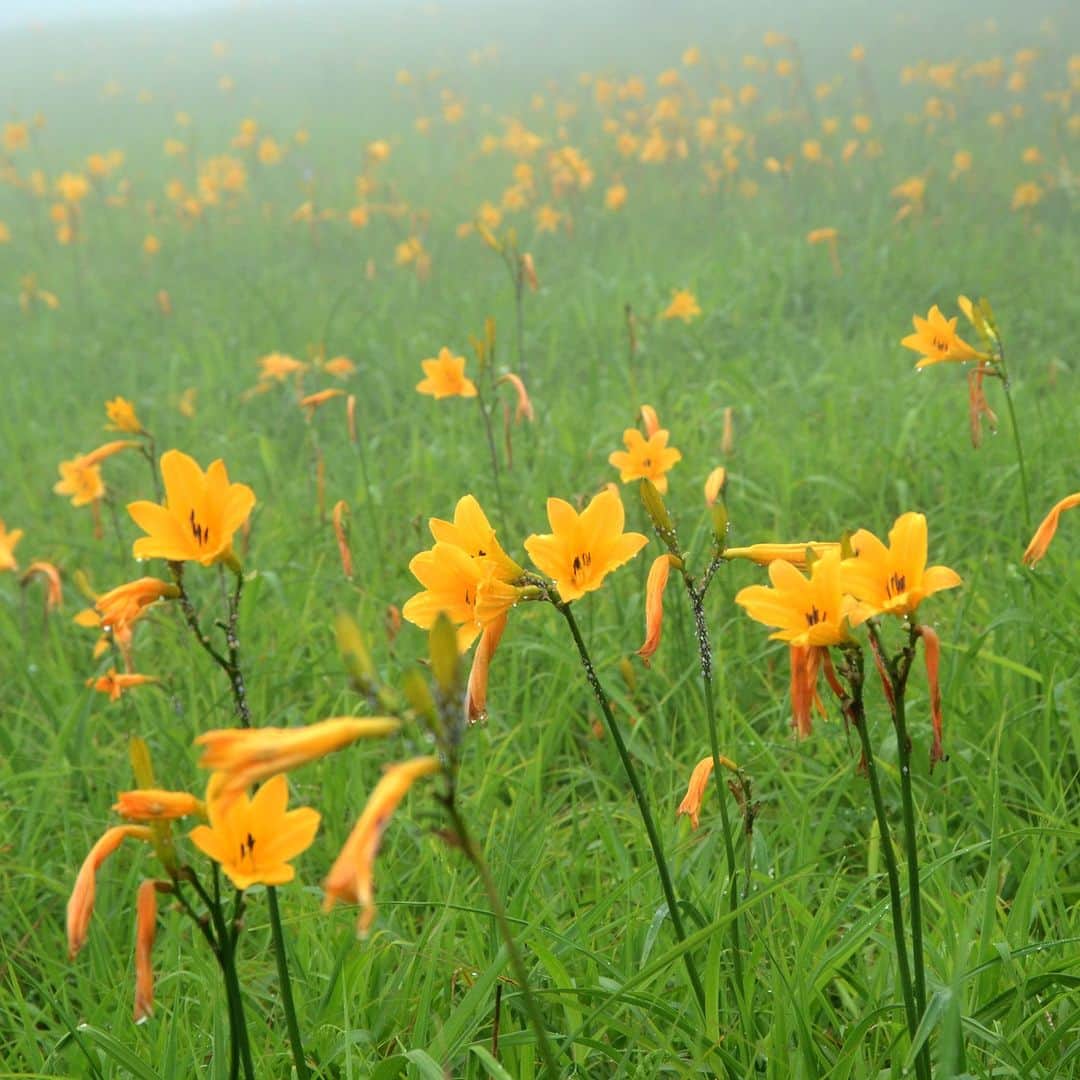 TOBU RAILWAY（東武鉄道）さんのインスタグラム写真 - (TOBU RAILWAY（東武鉄道）Instagram)「. . 📍 ...