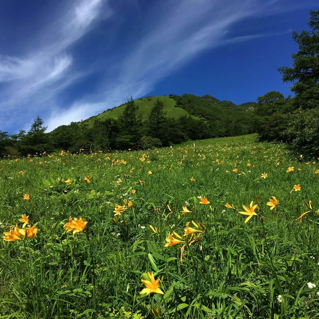 TOBU RAILWAY（東武鉄道）さんのインスタグラム写真 - (TOBU RAILWAY（東武鉄道）Instagram)「. . 📍 ...