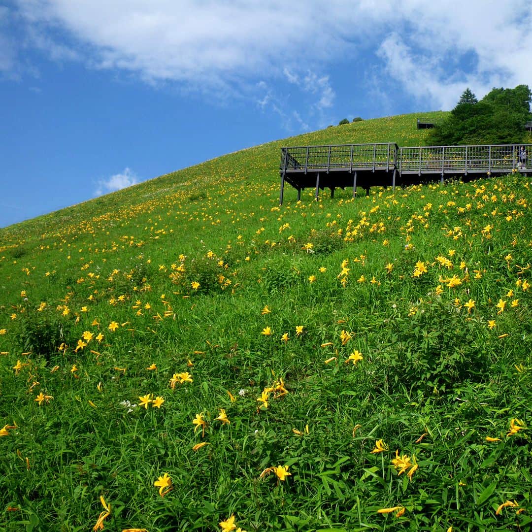 TOBU RAILWAY（東武鉄道）さんのインスタグラム写真 - (TOBU RAILWAY（東武鉄道）Instagram)「. . 📍 ...