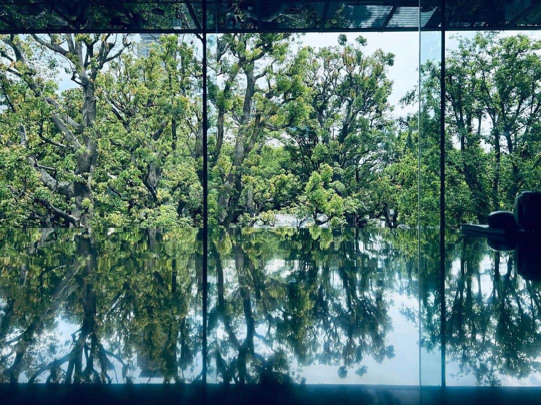 月船さららさんのインスタグラム写真 - (月船さららInstagram)「🌳×☕️×📖×🌳 @connelcoffee」6月5日 18時33分 ...