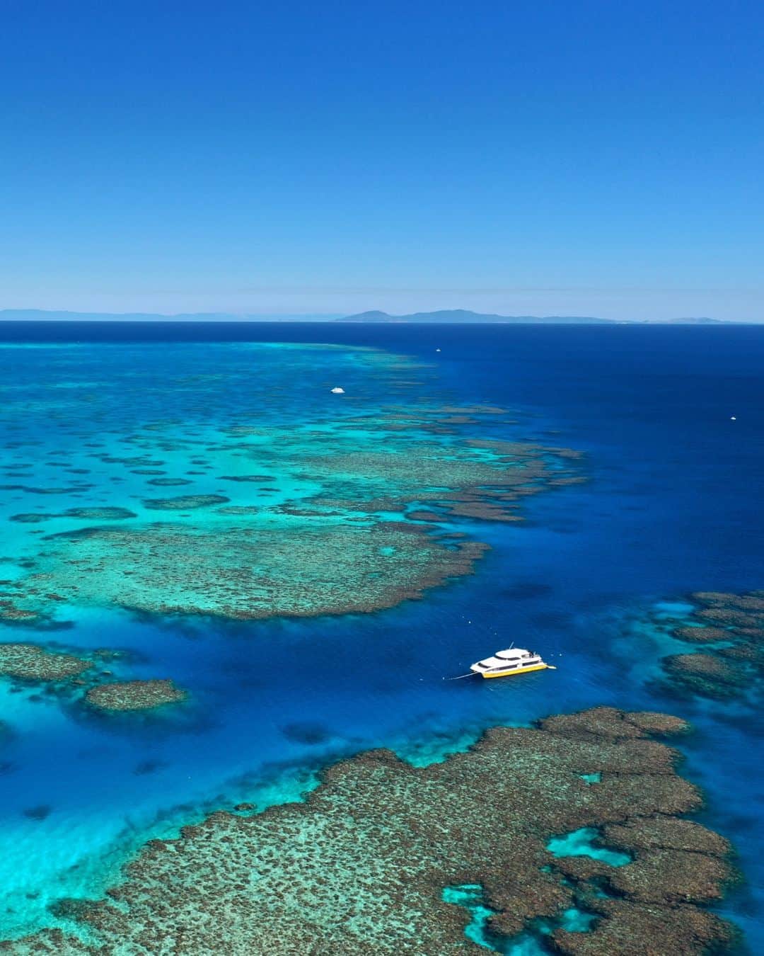 Australiaさんのインスタグラム写真 - (AustraliaInstagram)「Happy World Ocean Day! 🐠🐬🪸 ...