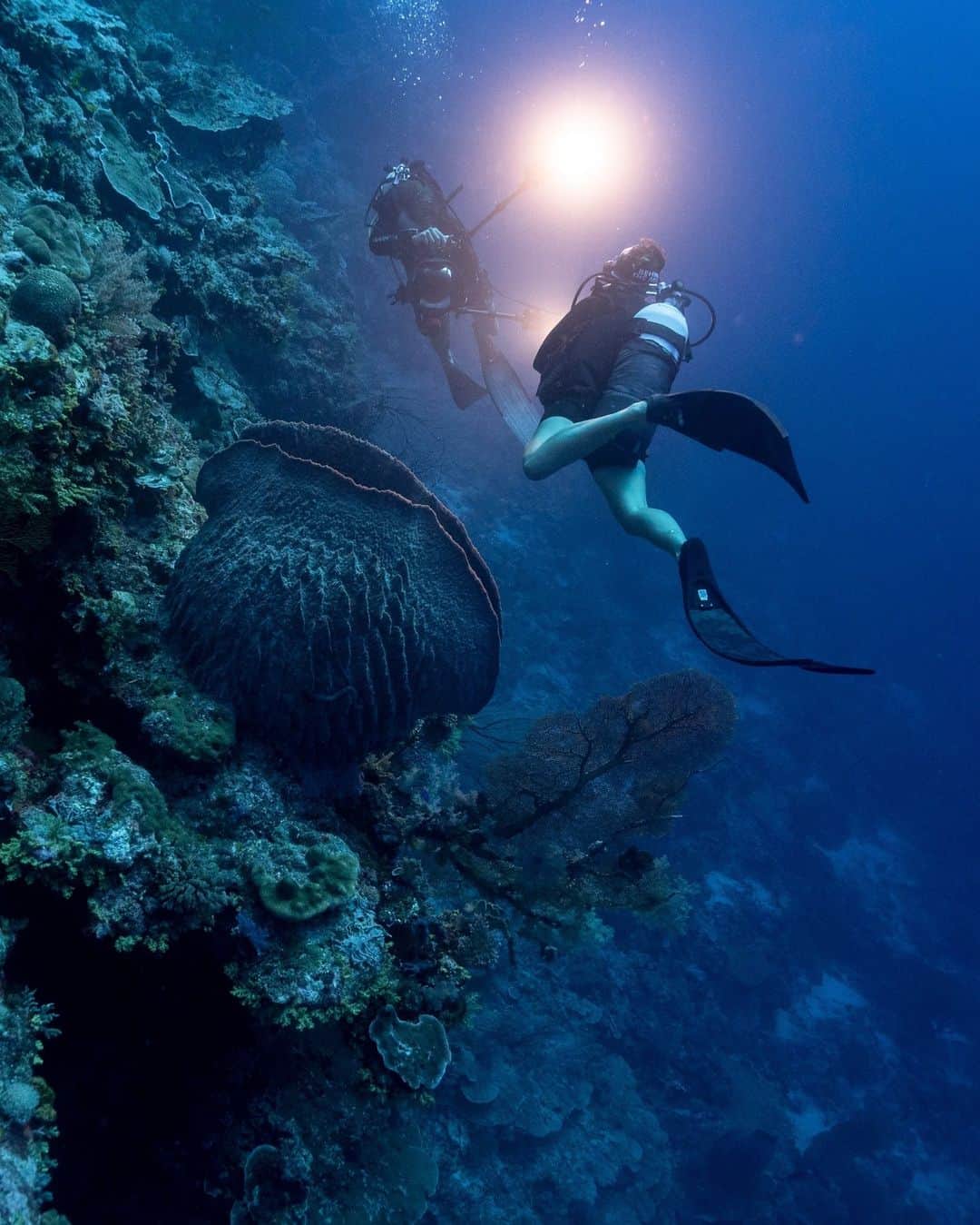 ナショナルジオグラフィックさんのインスタグラム写真 - (ナショナルジオグラフィックInstagram)「Photos by Michaela ...