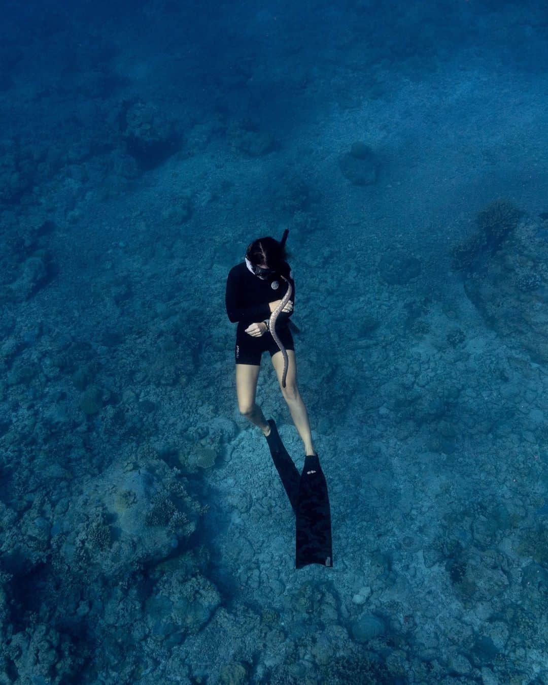 ナショナルジオグラフィックさんのインスタグラム写真 - (ナショナルジオグラフィックInstagram)「Photos by Michaela ...