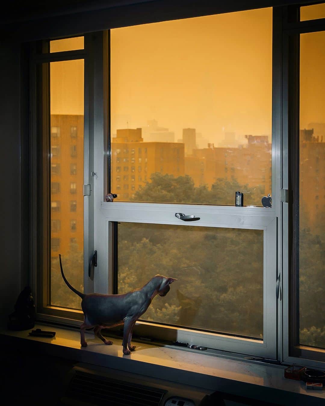 ナショナルジオグラフィックさんのインスタグラム写真 - (ナショナルジオグラフィックInstagram)「Photos by @dina ...