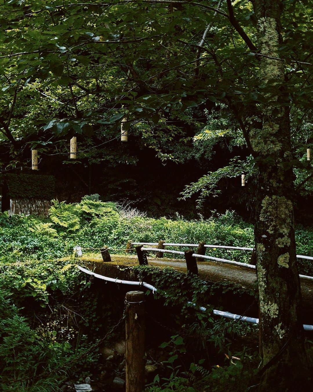 櫻子さんのインスタグラム写真 - (櫻子Instagram)「ぽかぽかなった♨︎」6月9日 17時11分 - rako_bear_