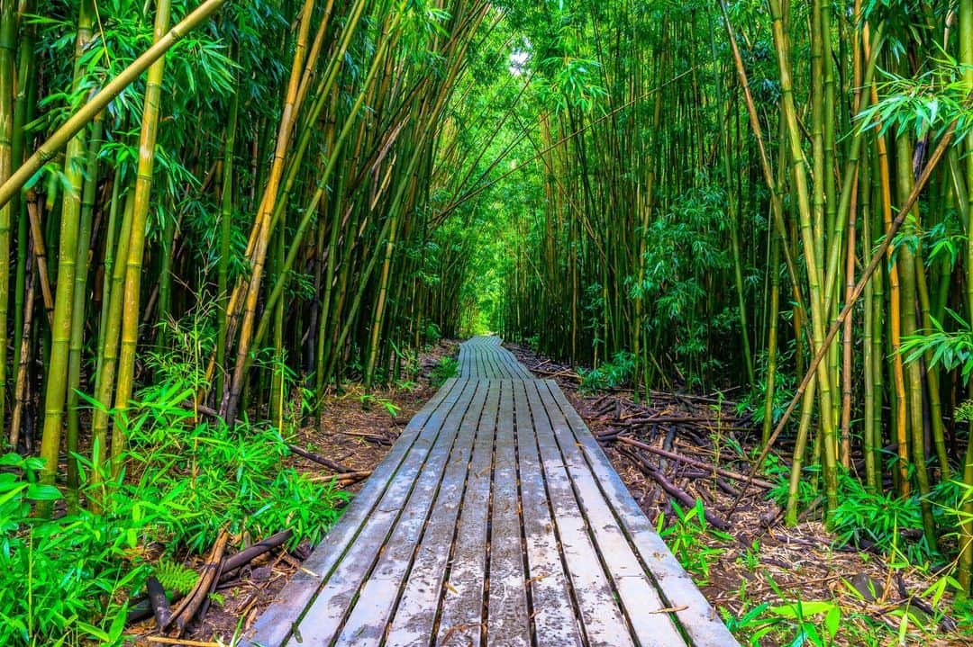 アメリカ内務省さんのインスタグラム写真 - (アメリカ内務省Instagram)「The breathtaking scenes at ...