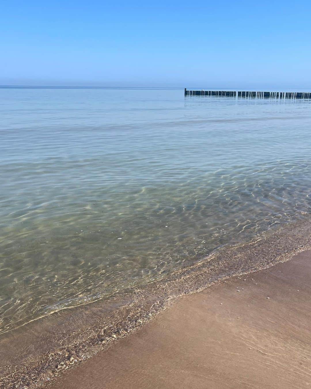 ALEXAさんのインスタグラム写真 - (ALEXAInstagram)「Insta posing vs last photo is how ...