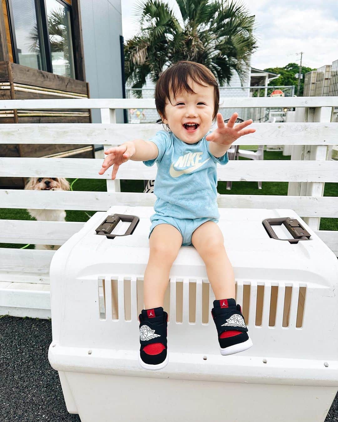 伊東大輝さんのインスタグラム写真 - (伊東大輝Instagram)「スカイブルーの服で😝 可愛すぎる、、笑 📍《 @petsalon_pinkbeach 》」6月10日 23時55分 ...