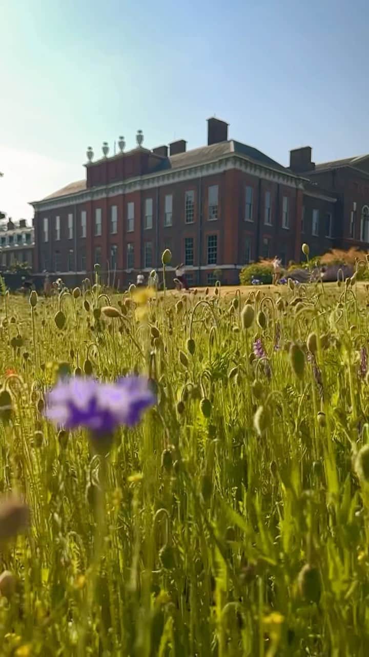 @LONDON | TAG #THISISLONDONさんのインスタグラム動画 - (@LONDON | TAG # ...