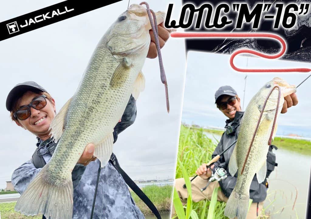 LureNews.TVさんのインスタグラム写真 - (LureNews.TVInstagram)「釣れるに直結する2通りの攻め方！加木屋守（マーモ）による「ロングエム」のトリセツ ...