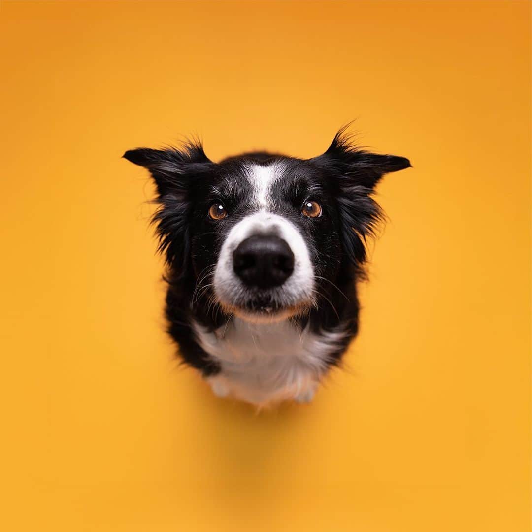 Andrew Knappさんのインスタグラム写真 - (Andrew KnappInstagram)「Print sale! Selling ...