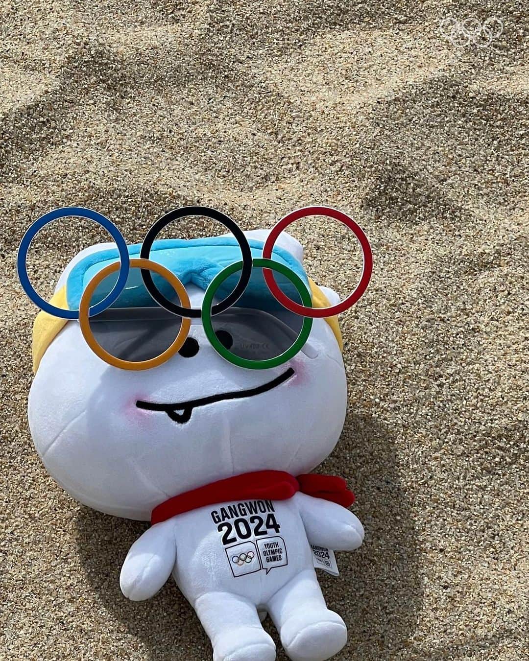 平昌オリンピックさんのインスタグラム写真 - (平昌オリンピックInstagram)「뭉초는 여름 준비 중😎 #뭉초 | #Moongcho ...